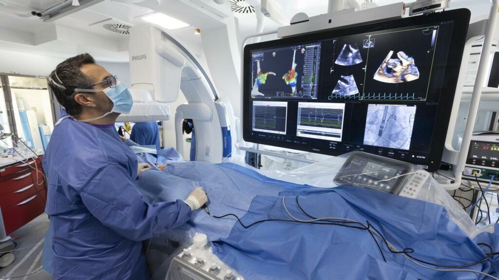 Vall d'Hebron develops world's first 4D transesophageal probe for ...